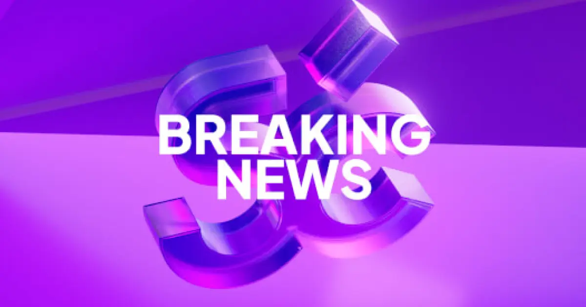 Smartcat Raises $43M Series C For Language AI Solutions